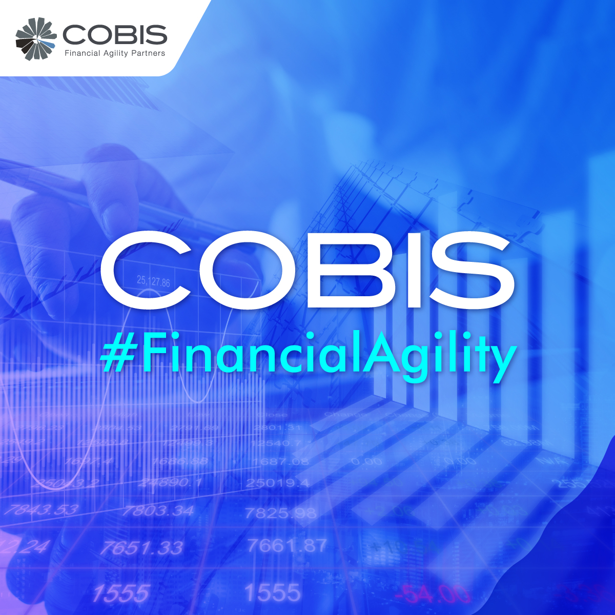 COBIS: Financial Agility Partners